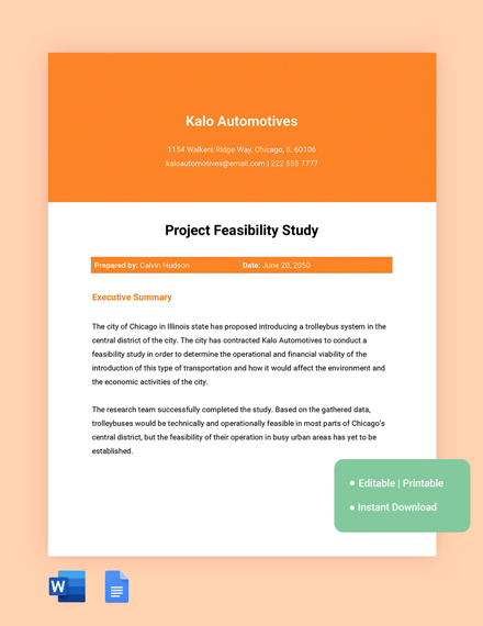 Project Management Feasibility Study Template - Download in Word ...
