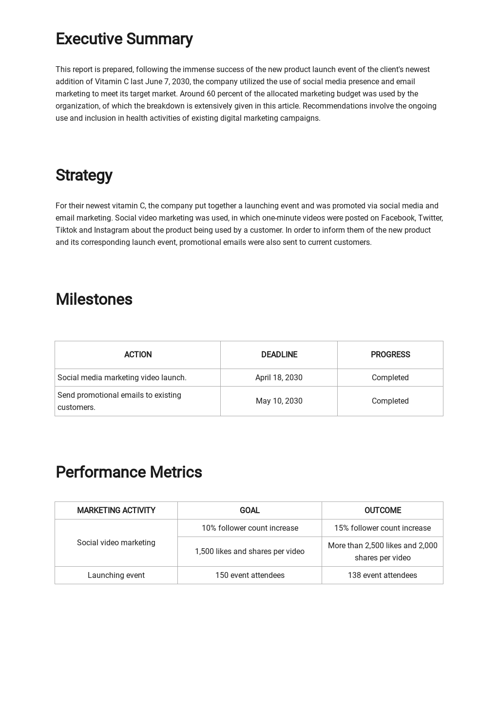 social-media-marketing-report-template-google-docs-word-template