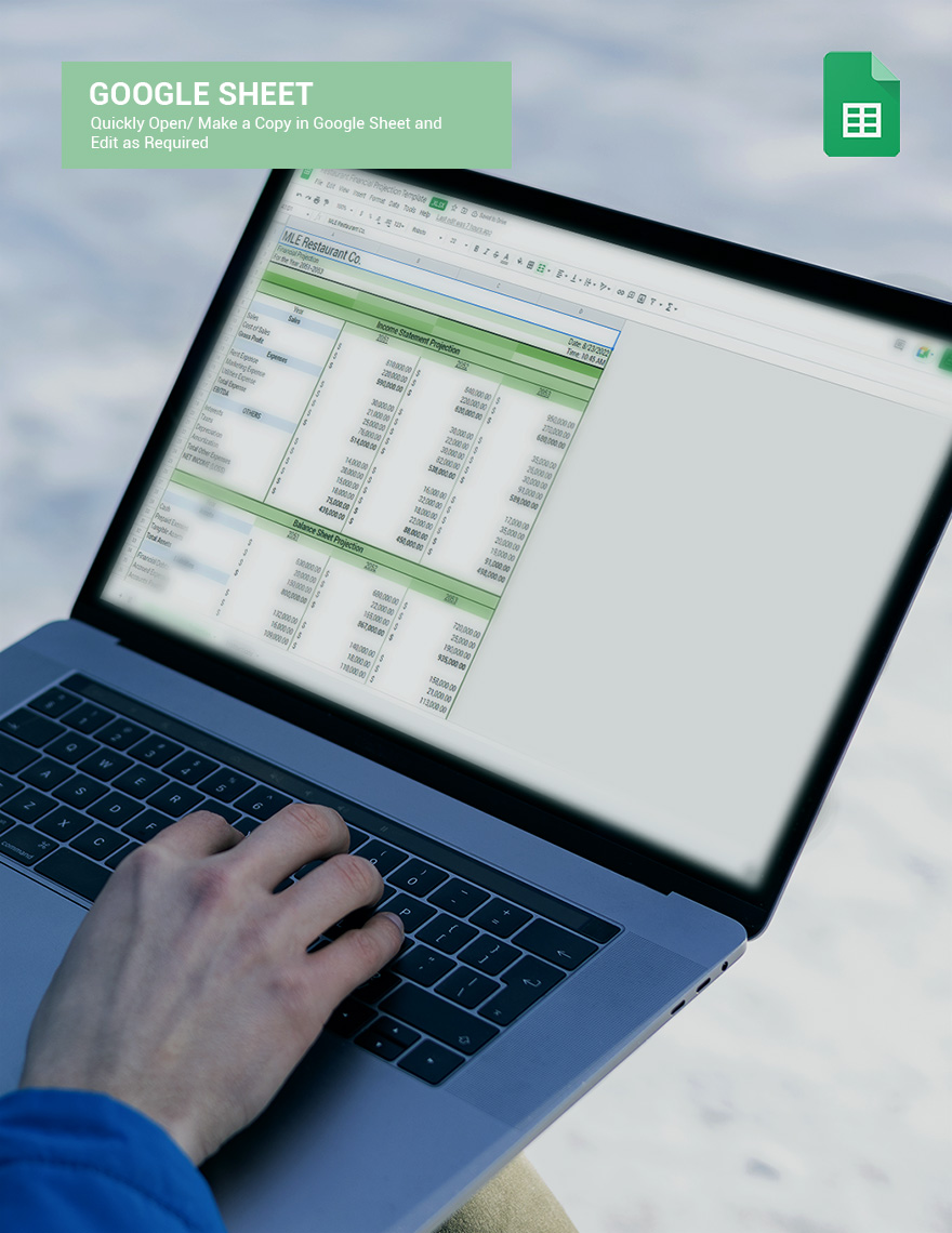 Restaurant Financial Projection Template - Google Sheets, Excel, PSD ...