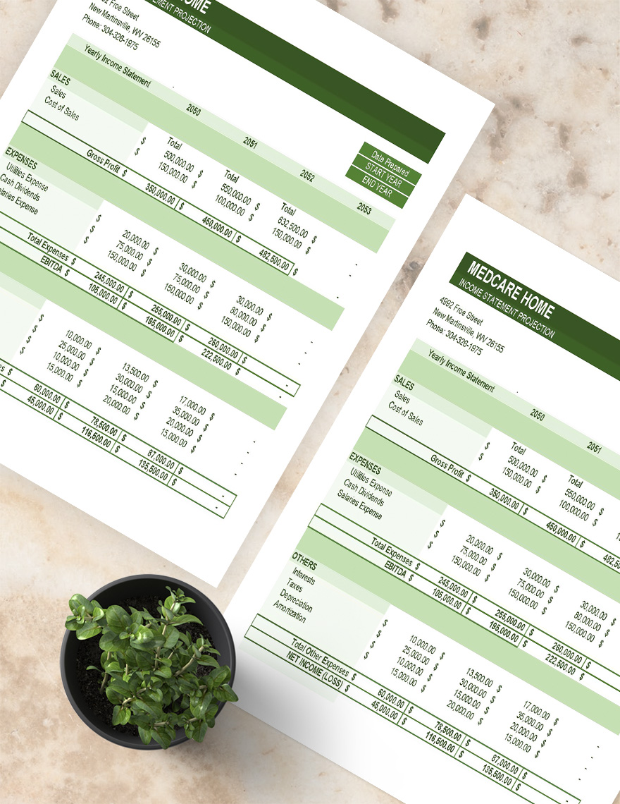 Home Health Care Financial Projections Template - Google Sheets, Excel ...