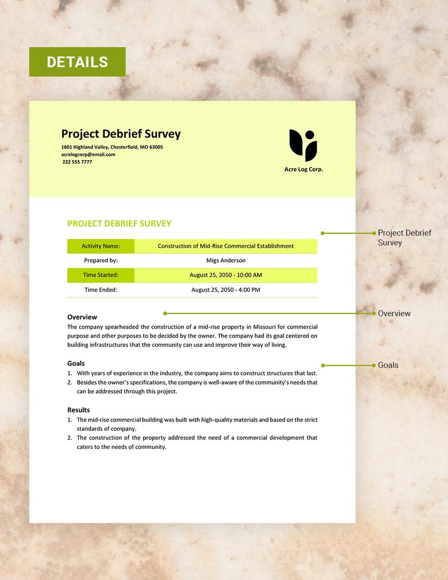 Project Debrief Survey Template In Word Google Docs Download