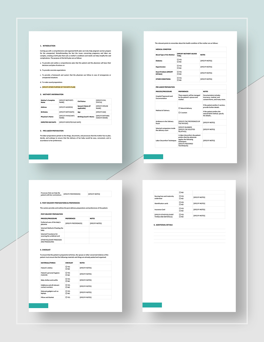 Birth Plan Template - Google Docs, Word, Apple Pages | Template.net