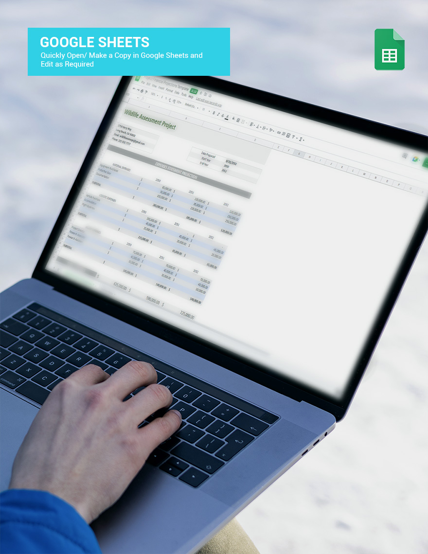 Project Financial Projections Template - Google Sheets, Excel ...
