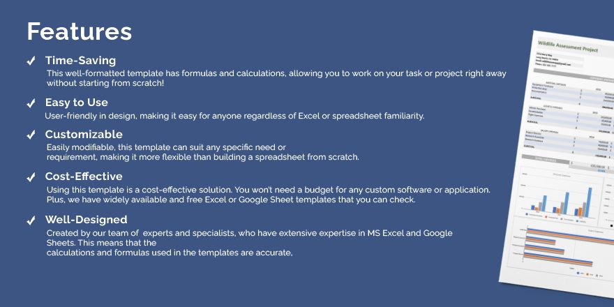 Project Financial Projections Template - Google Sheets, Excel ...