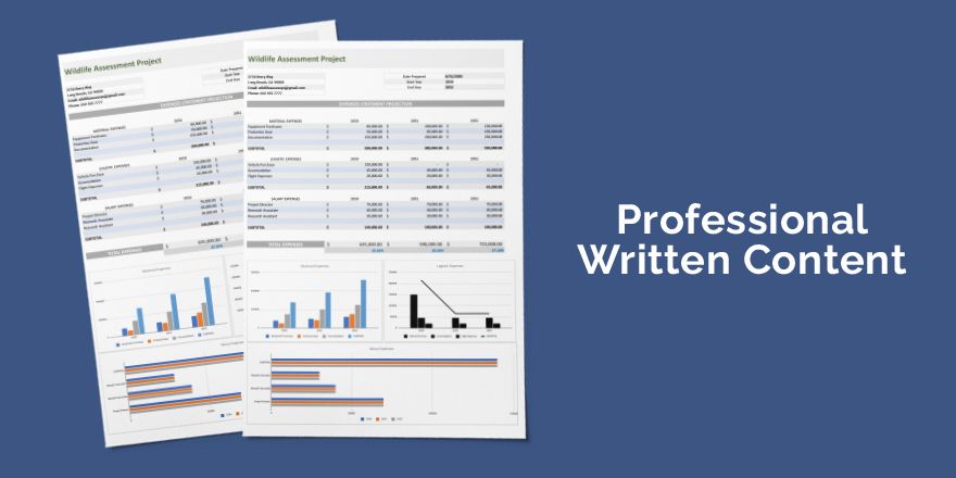 Project Financial Projections Template - Google Sheets, Excel ...