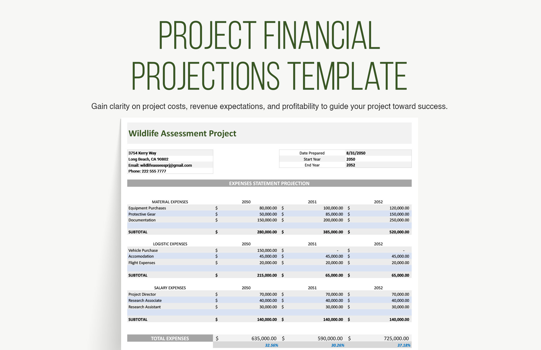 Project Financial Projections Template In Excel Google Sheets