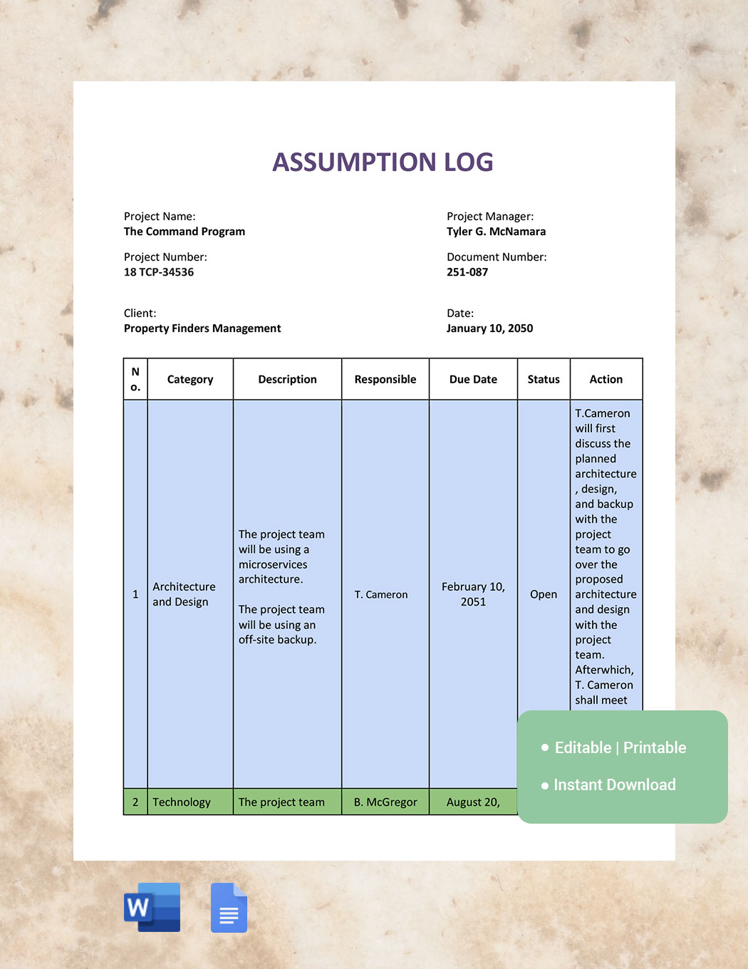 Project Management Assumptions Template Google Docs Word Template