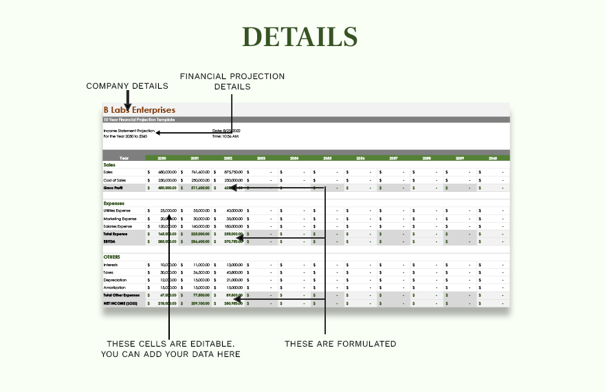 10 Year Financial Projections Template - Excel, Google Sheets ...