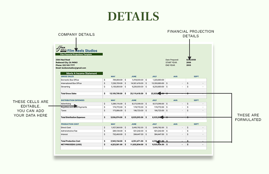 Film Financial Projections Template - Google Sheets, Excel | Template.net