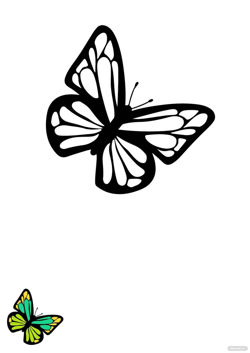 Free Simple Butterfly Coloring Page PDF Template Free Simple Butterfly Coloring Page PDF Template