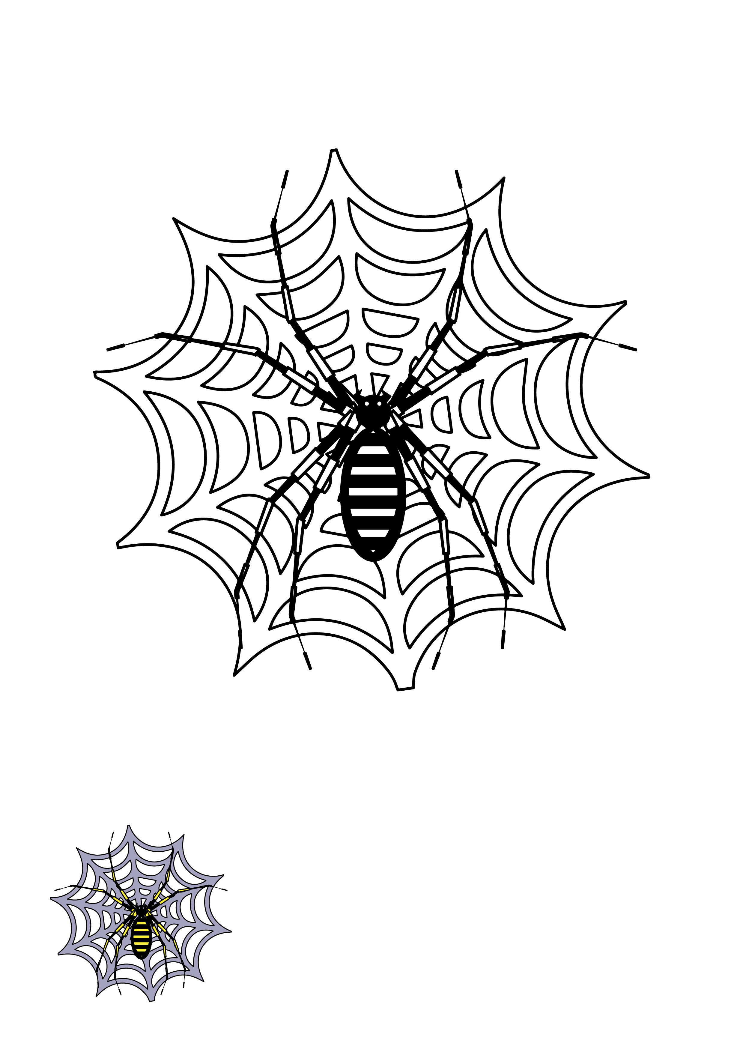 Spider Web Graphic Organizer