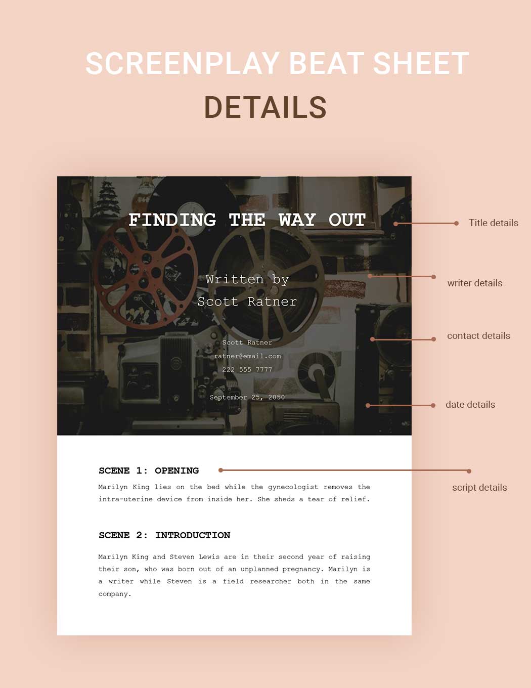 Screenplay Beat Sheet In Word Google Docs Pages Download Template