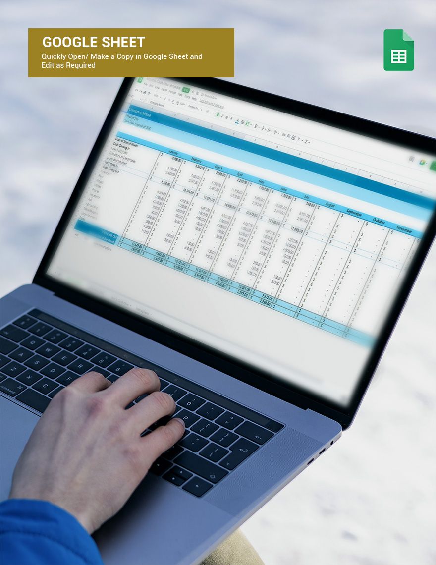 Monthly Cash Flow Template - Google Sheets, Excel | Template.net