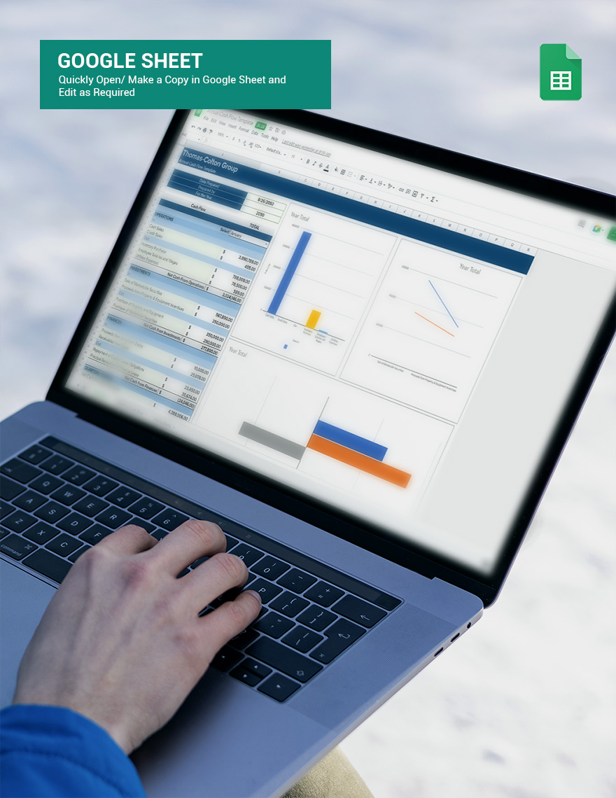 Annual Cash Flow Template - Google Sheets, Excel | Template.net