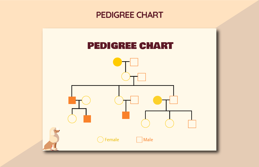 Pedigree Chart - Illustrator, PDF | Template.net