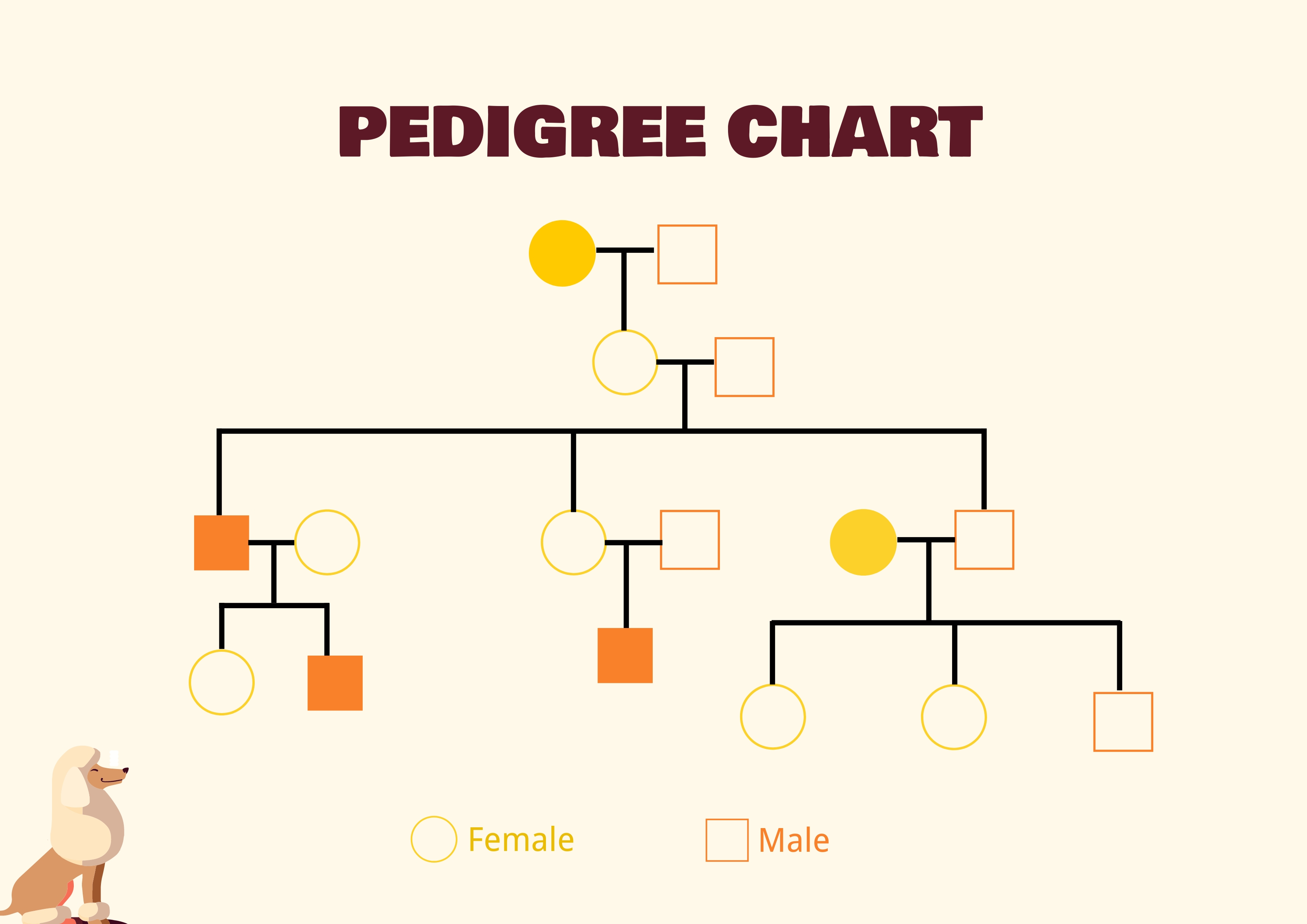 5 Generation Pedigree Chart Illustrator PDF Template