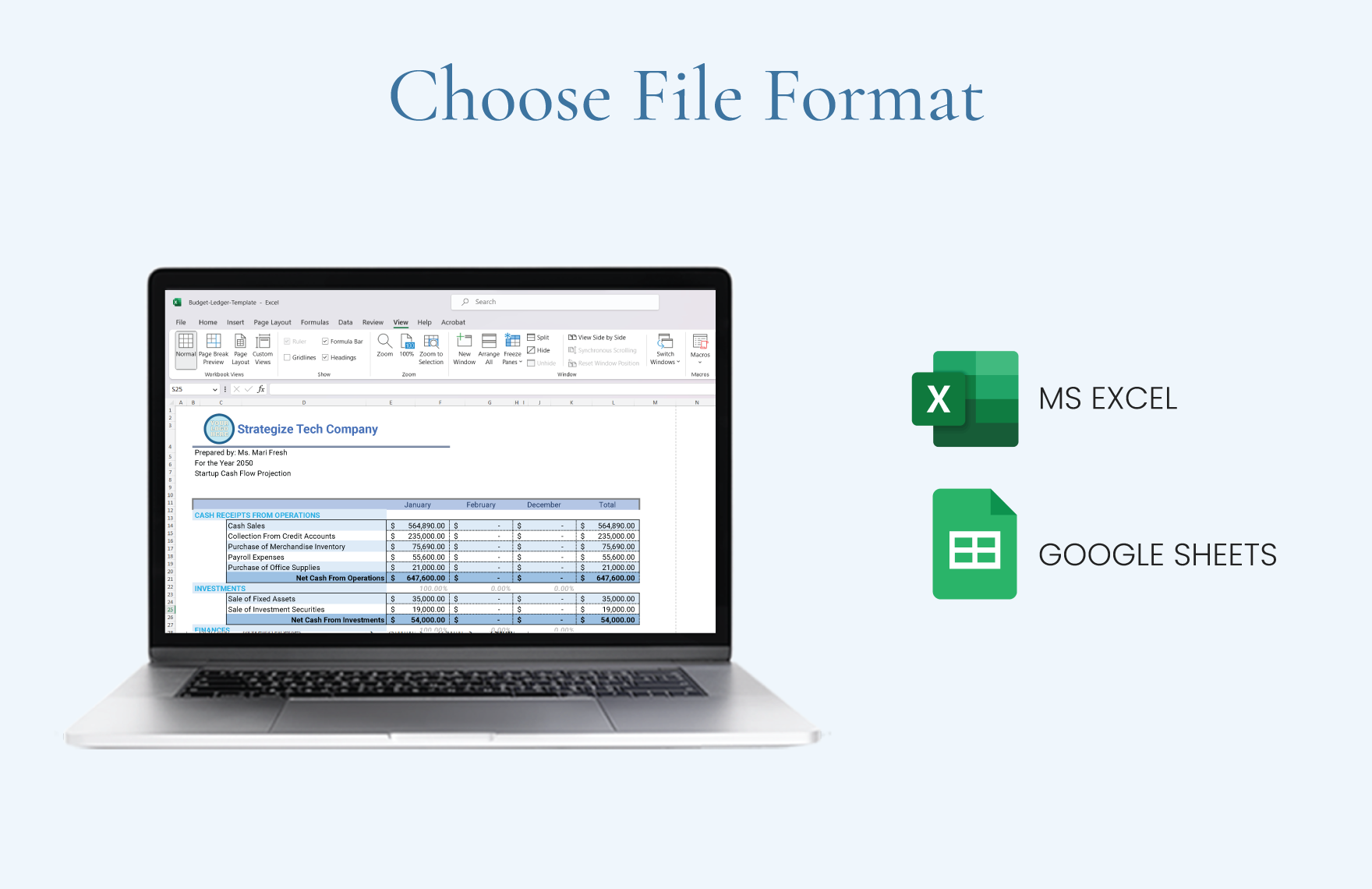 Startup CashFlow Projection Template - Google Sheets, Excel | Template.net