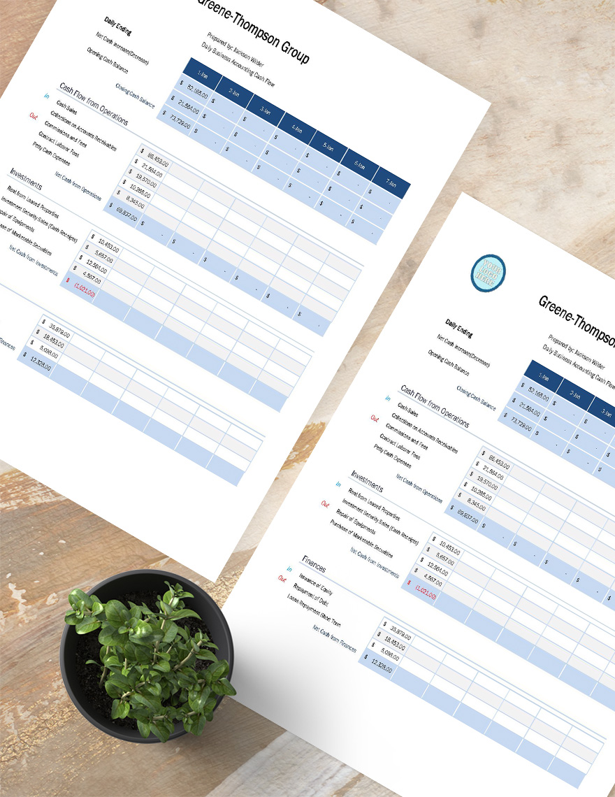 Daily Business Accounting Cash Flow Template - Google Sheets, Excel ...
