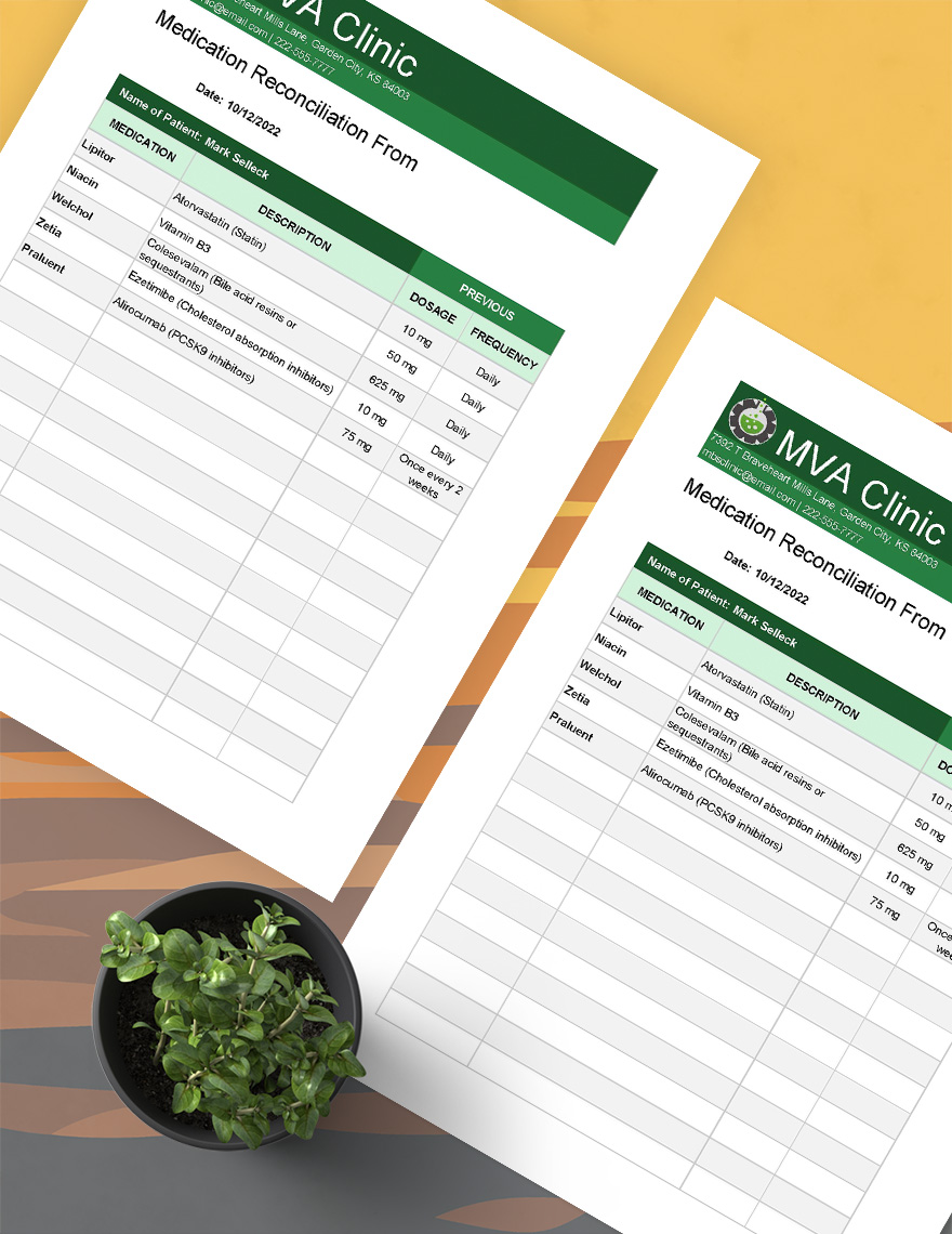 Health Care Reconciliation Template - Google Sheets, Excel | Template.net