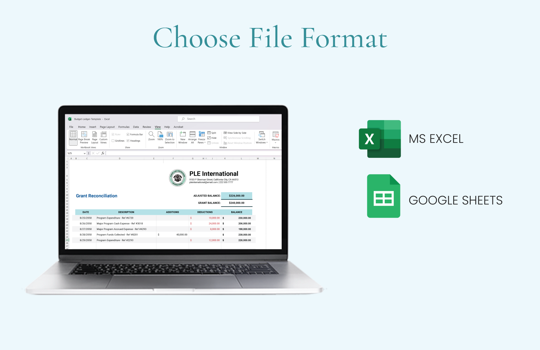 Grant Reconciliation Template - Excel, Google Sheets | Template.net