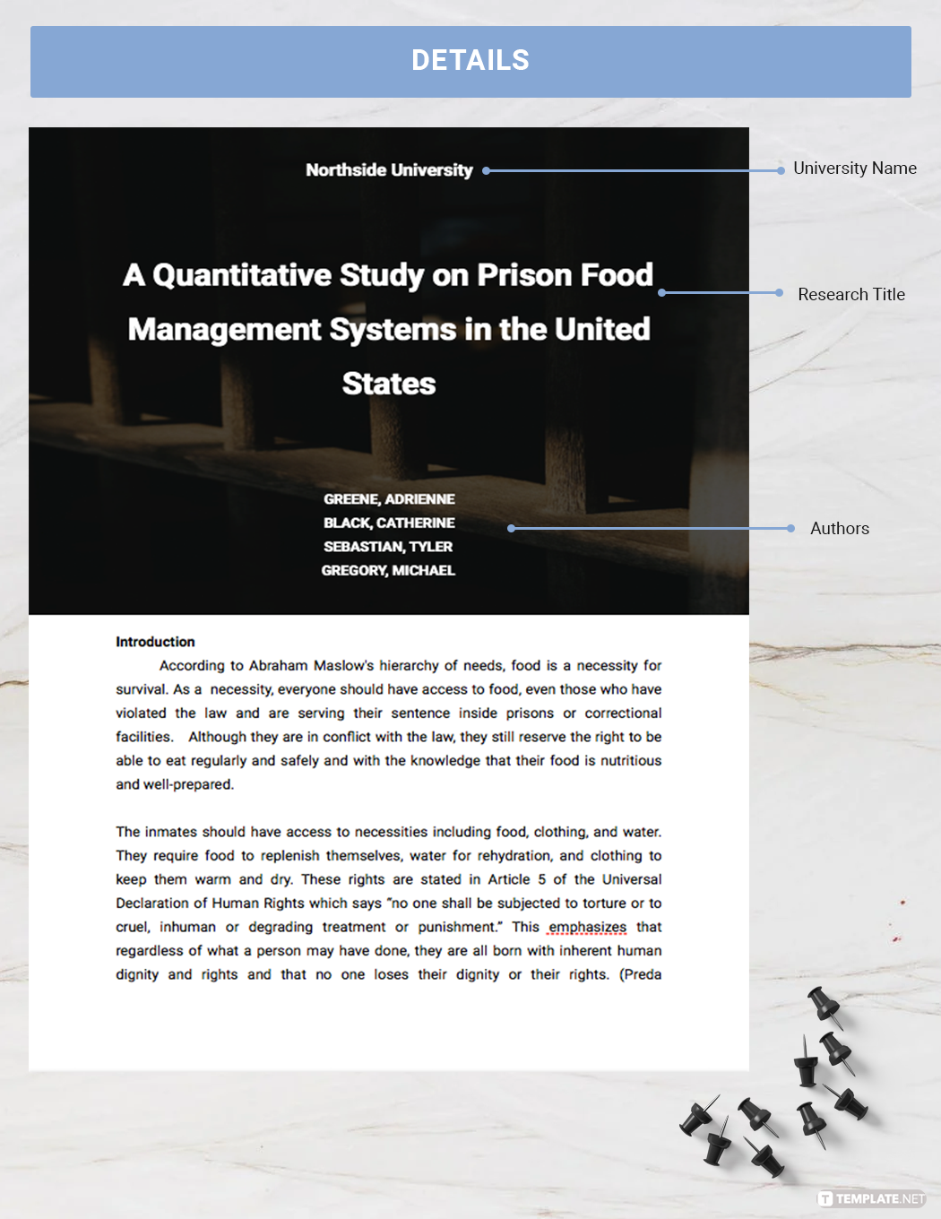 Quantitative Research Plan Template - Google Docs, Word, Apple Pages ...