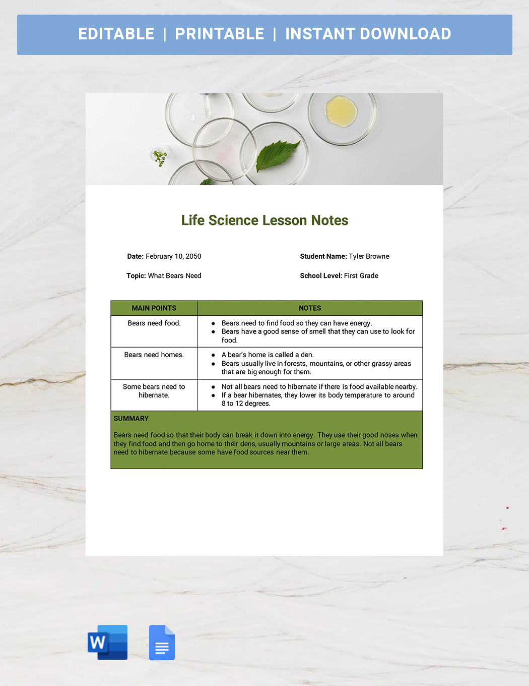 Primary School Lesson Note Google Docs Word Template