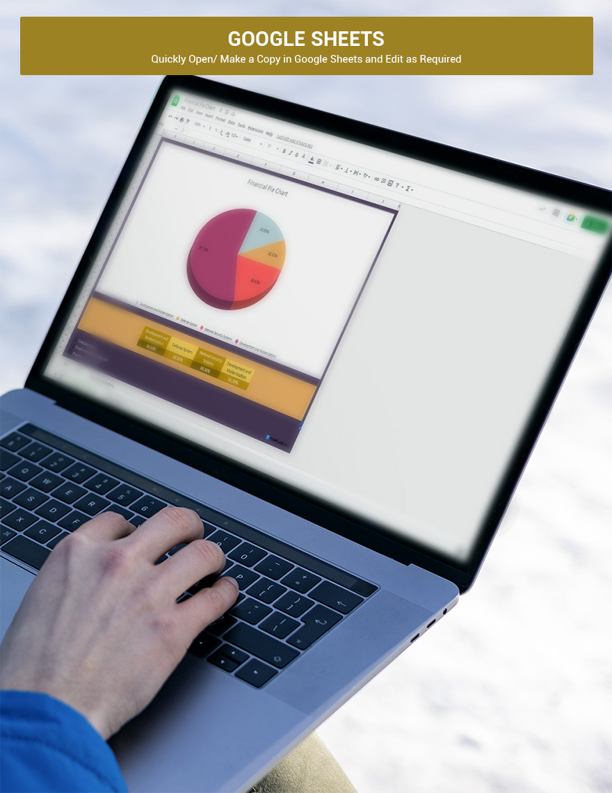 Financial Pie Chart - Google Sheets, Excel | Template.net