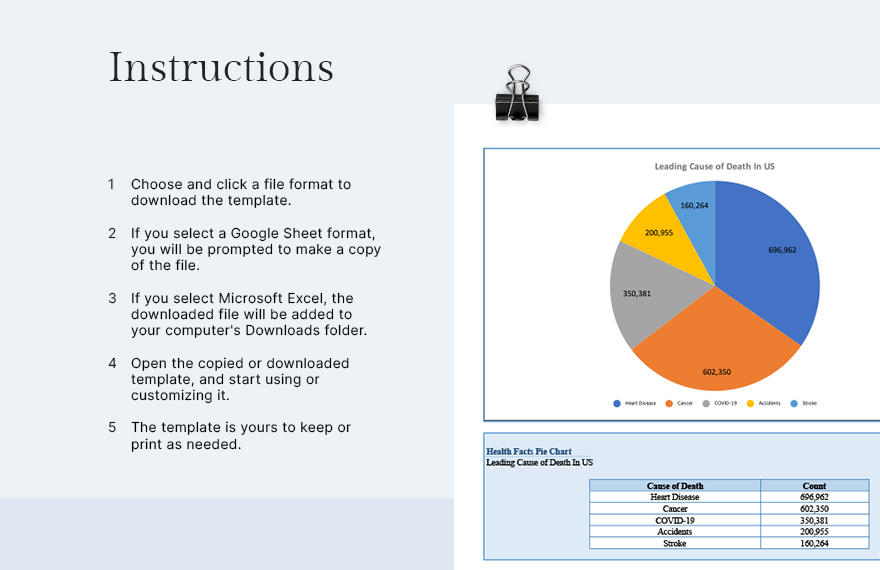 Health Facts Pie Chart - Google Sheets, Excel | Template.net