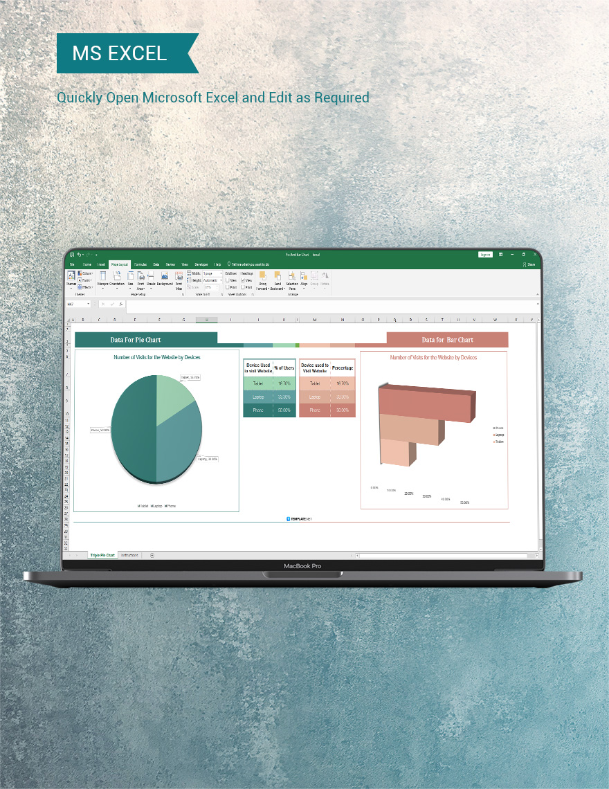 Pie And Bar Chart - Google Sheets, Excel | Template.net