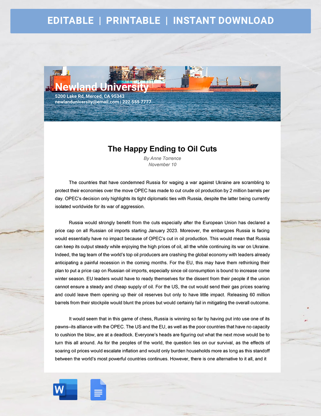 FREE Narrative Report Templates Download In Word Google Docs