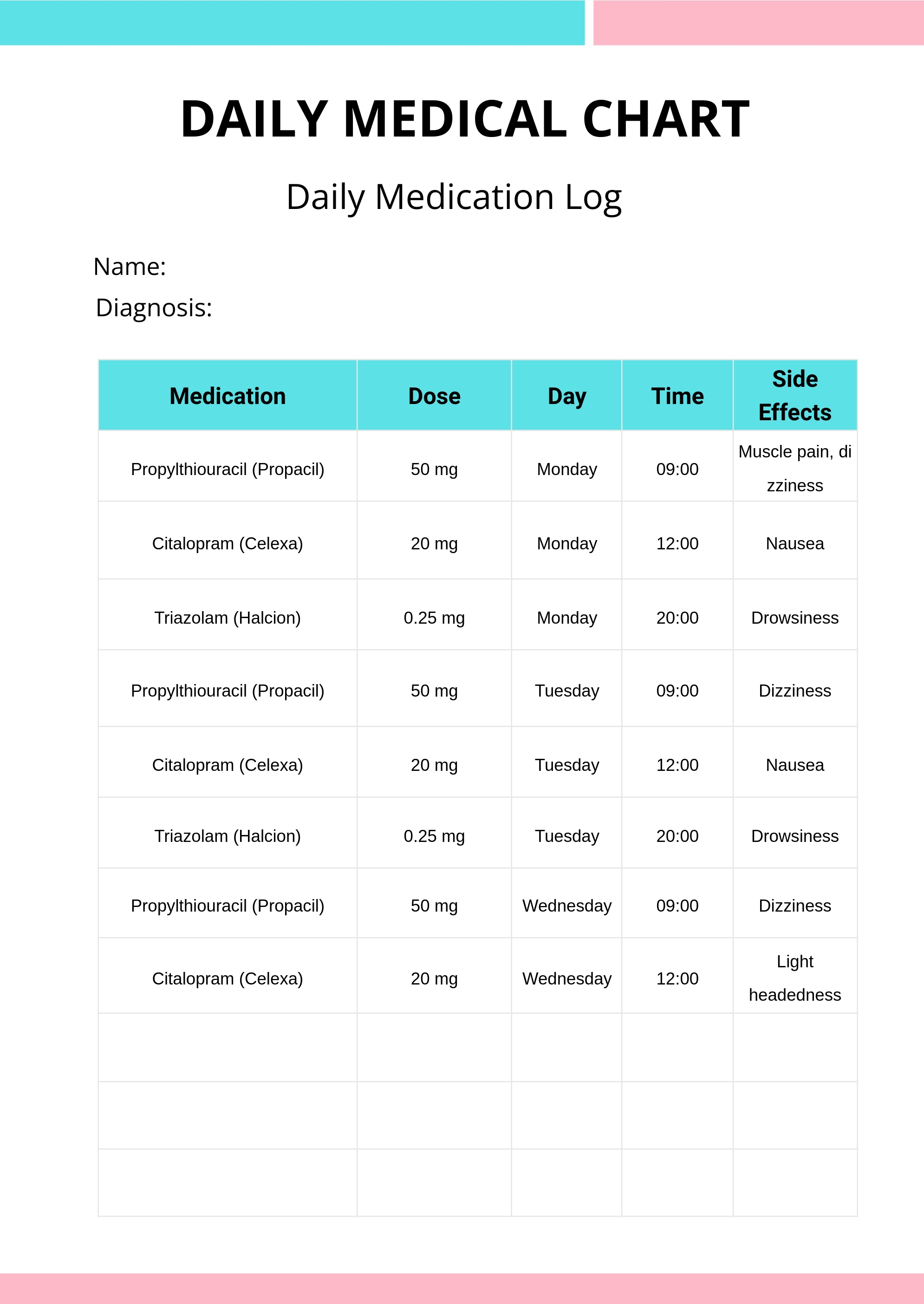 Daily Medical Chart Template Illustrator PDF Template