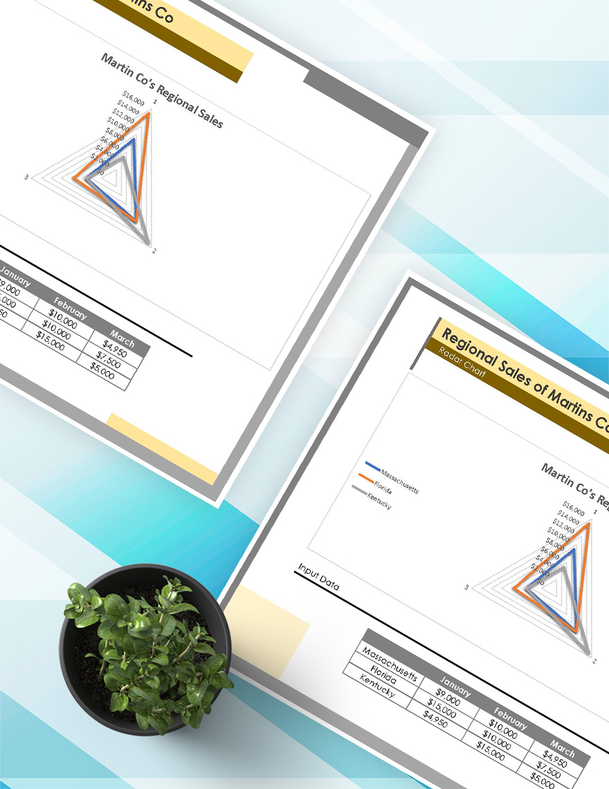 Regional Sales of Martins Co - Radar Chart - Google Sheets, Excel ...