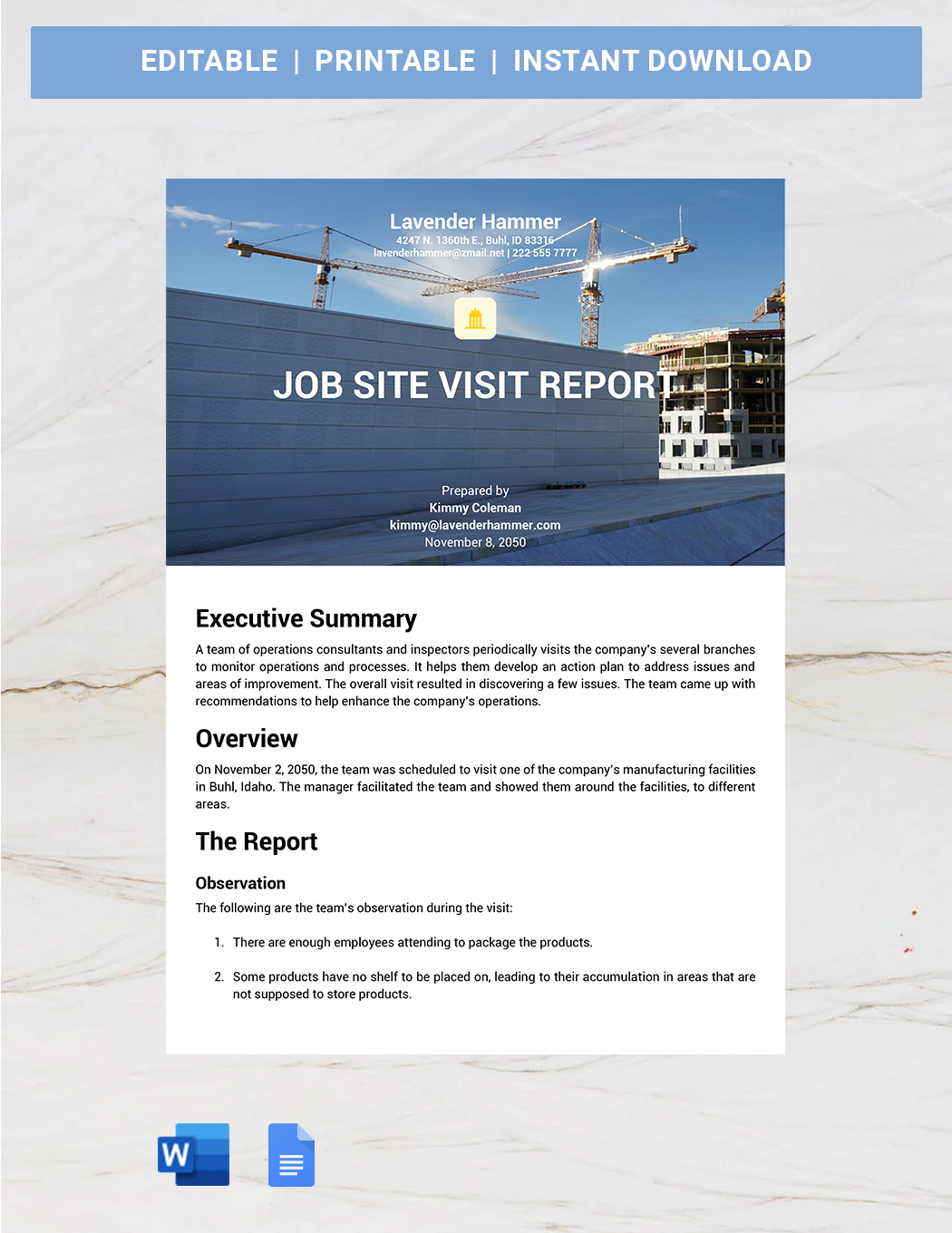Visit Report Template - Google Docs, Word, Apple Pages | Template.net