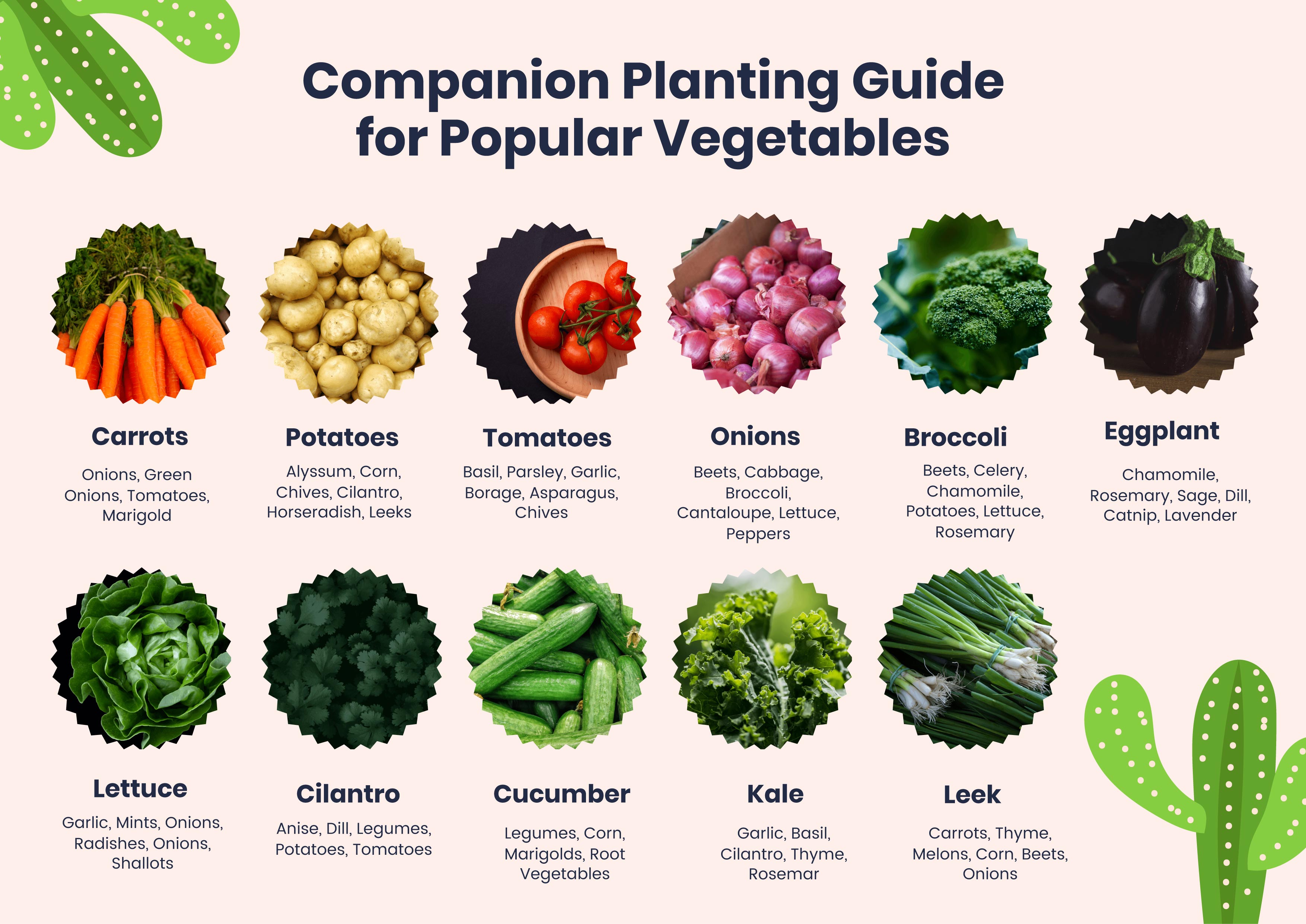 Free Companion Planting Chart For Vegetables And Flowers - Download in ...