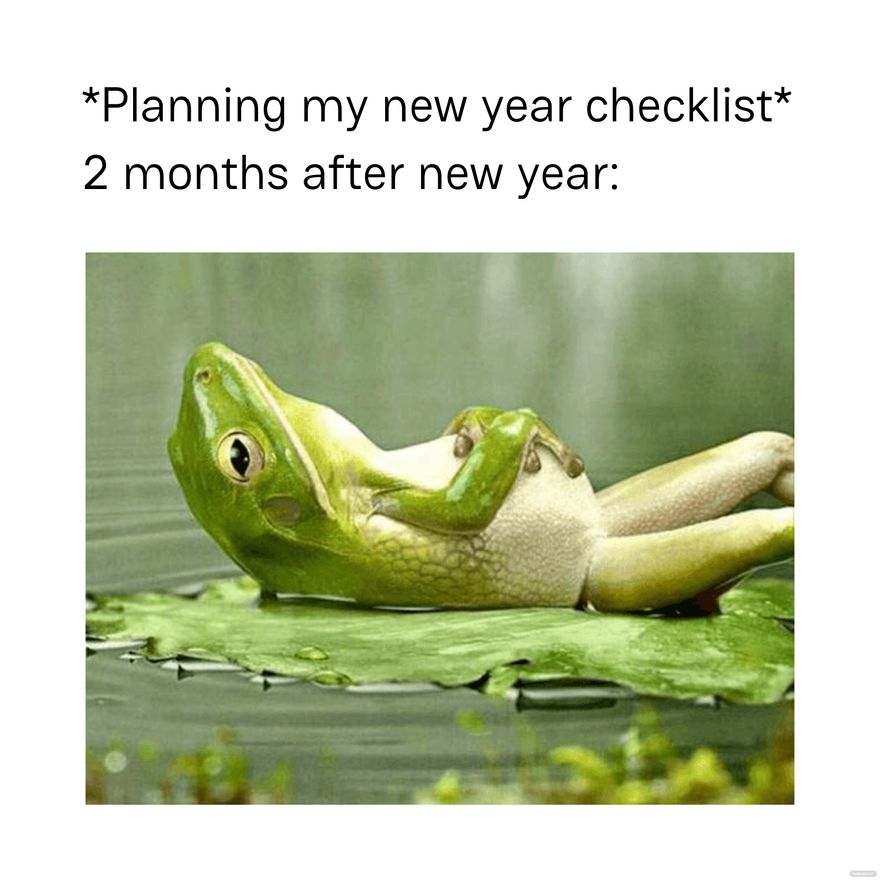 Funny New Years Meme JPEG Template