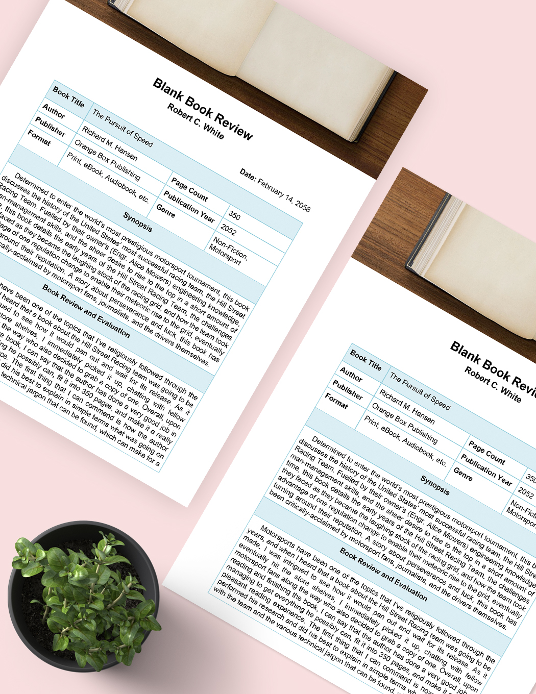 Blank Book Review Template Google Docs Word Template