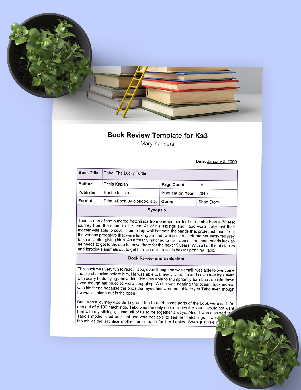 Book Review Template Ks3 In Word Google Docs Download Template