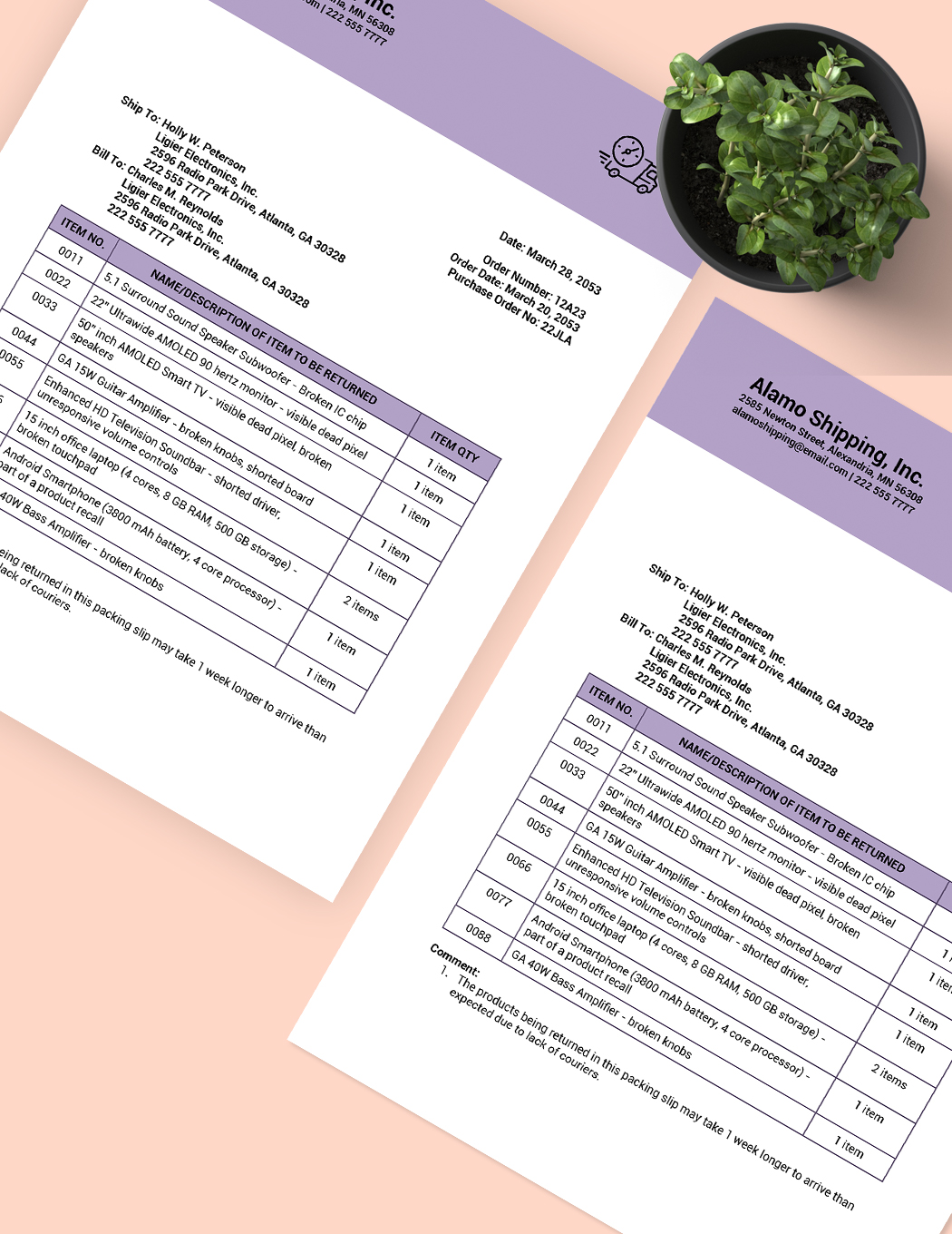 Return Packing Slip Template Download In Word Google Docs Apple