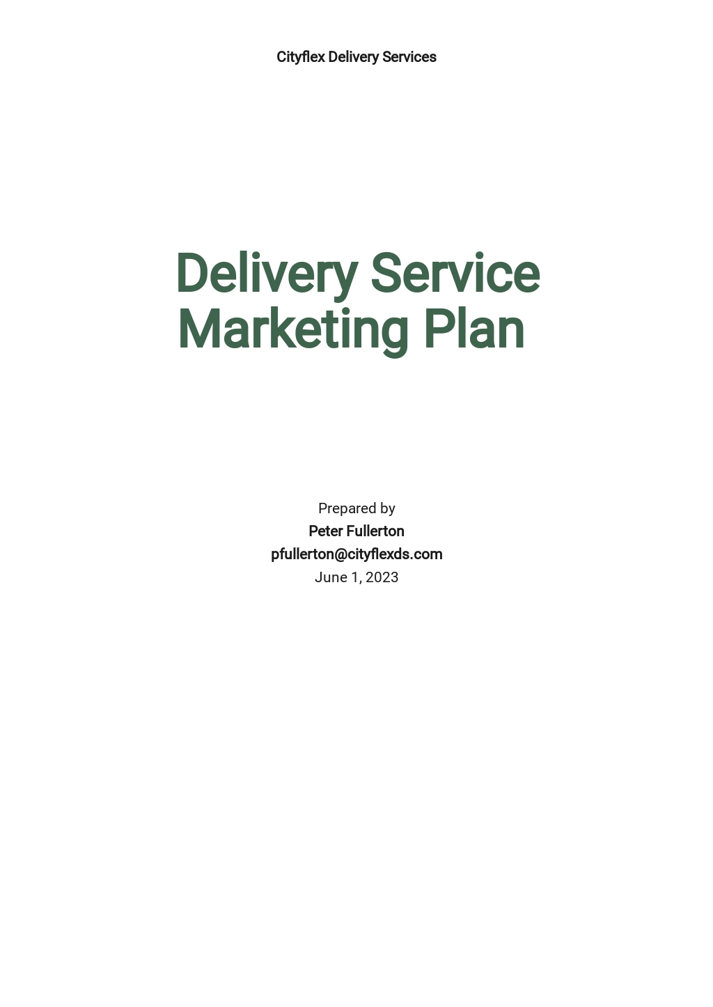 Delivery Service Marketing Plan Template