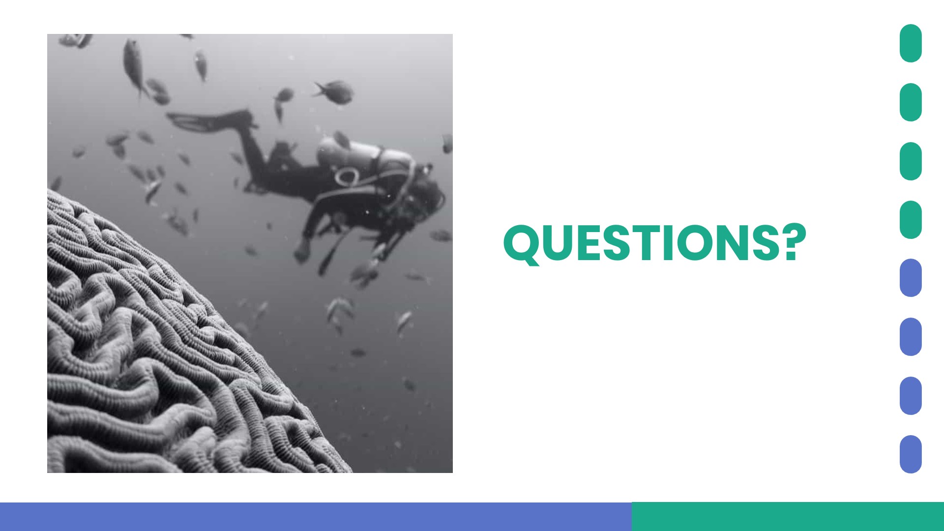 Case Report Presentation Template - Download in PowerPoint, Google ...