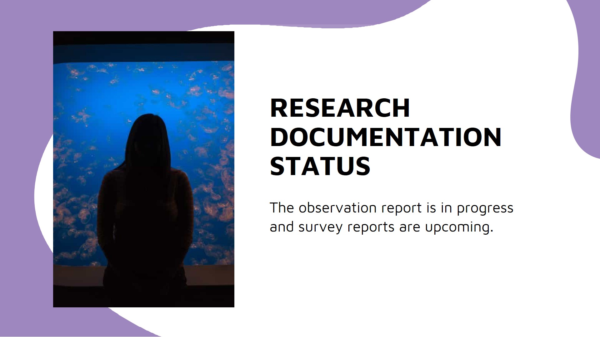 Status Report Presentation Template - Download in PowerPoint, Google ...