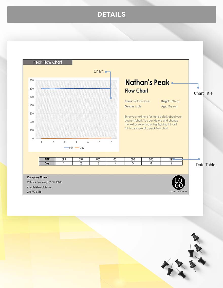 Peak Flow Chart - Google Sheets, Excel | Template.net