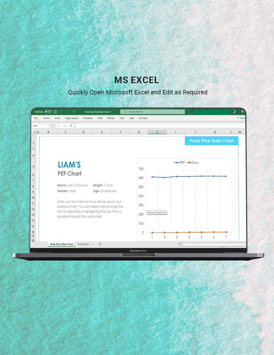 Free Peak Flow Rate Chart - Google Sheets, Excel | Template.net