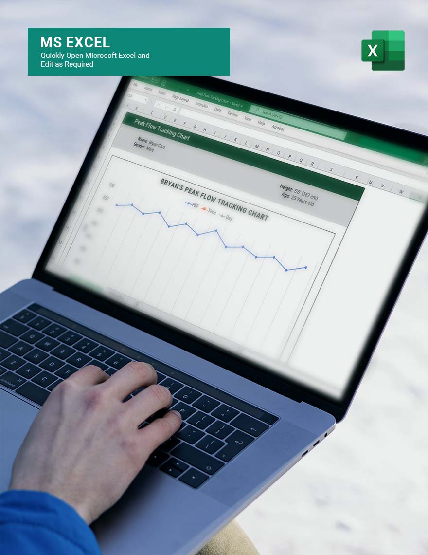 Peak Flow Tracking Chart - Google Sheets, Excel | Template.net