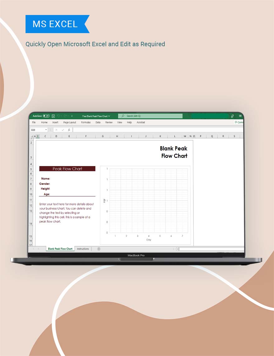 Free Blank Peak Flow Chart - Google Sheets, Excel | Template.net