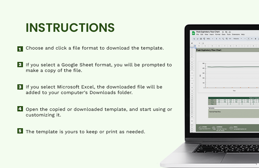 Peak Expiratory Flow Chart - Google Sheets, Excel | Template.net Peak Expiratory Flow Chart - Google Sheets, Excel | Template.net