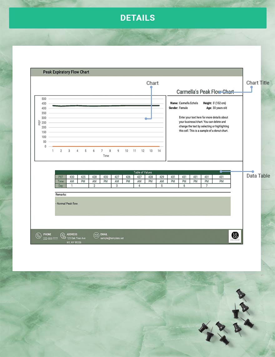Peak Expiratory Flow Chart - Google Sheets, Excel | Template.net Peak Expiratory Flow Chart - Google Sheets, Excel | Template.net