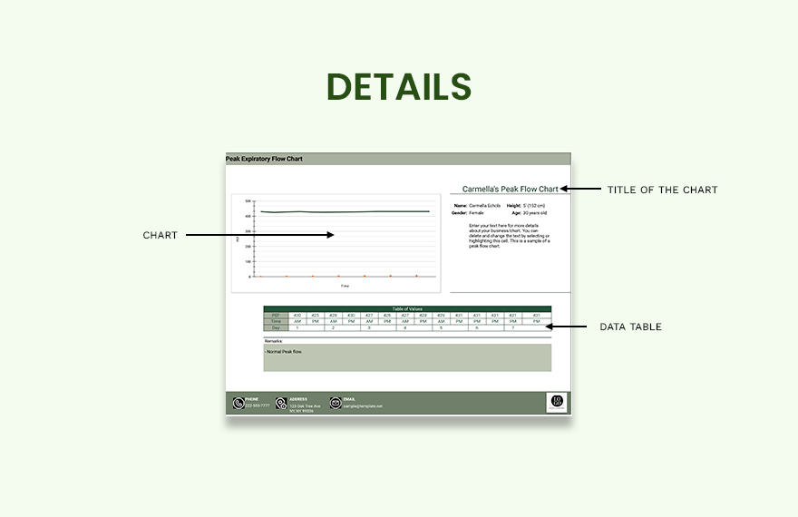 Peak Expiratory Flow Chart - Google Sheets, Excel | Template.net Peak Expiratory Flow Chart - Google Sheets, Excel | Template.net