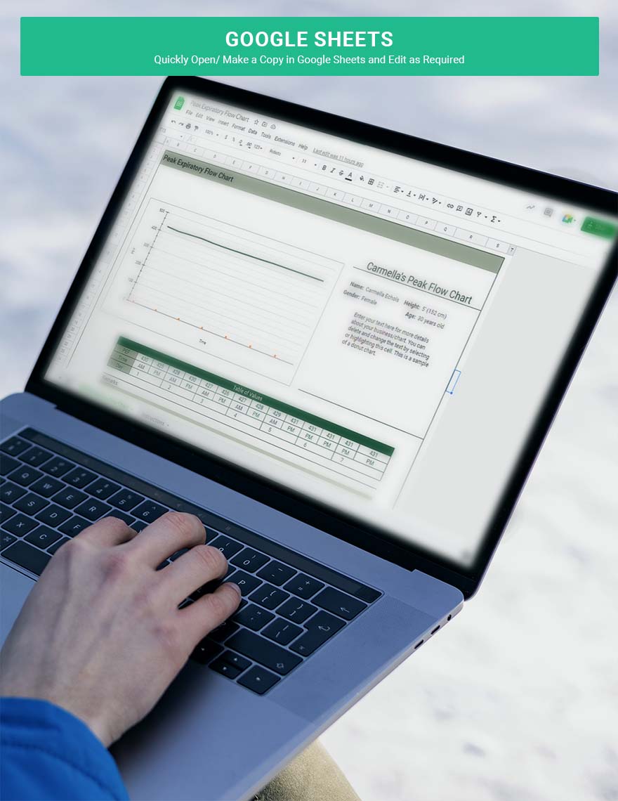 Peak Expiratory Flow Chart - Google Sheets, Excel | Template.net