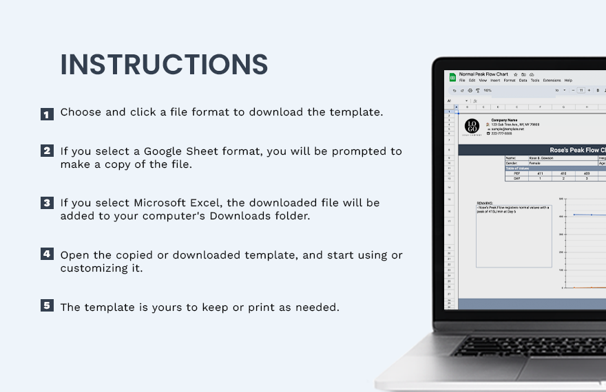 Normal Peak Flow Chart - Google Sheets, Excel | Template.net